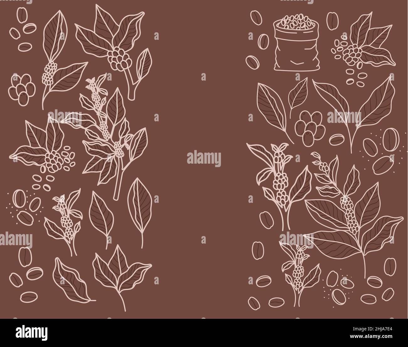 coffee plants illustration Stock Vector Image & Art - Alamy