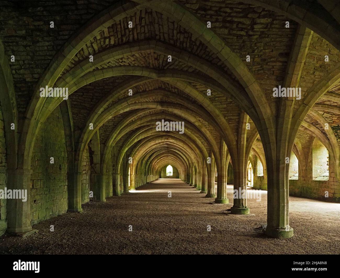 receding vaulted arches of cellarium or undercroft at Fountains Abbey ...