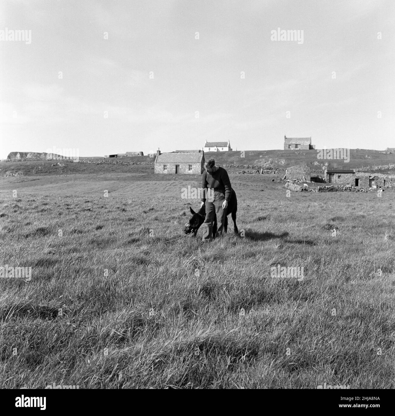 The Bancrofts, who a year ago left the "rat race" of London and ...