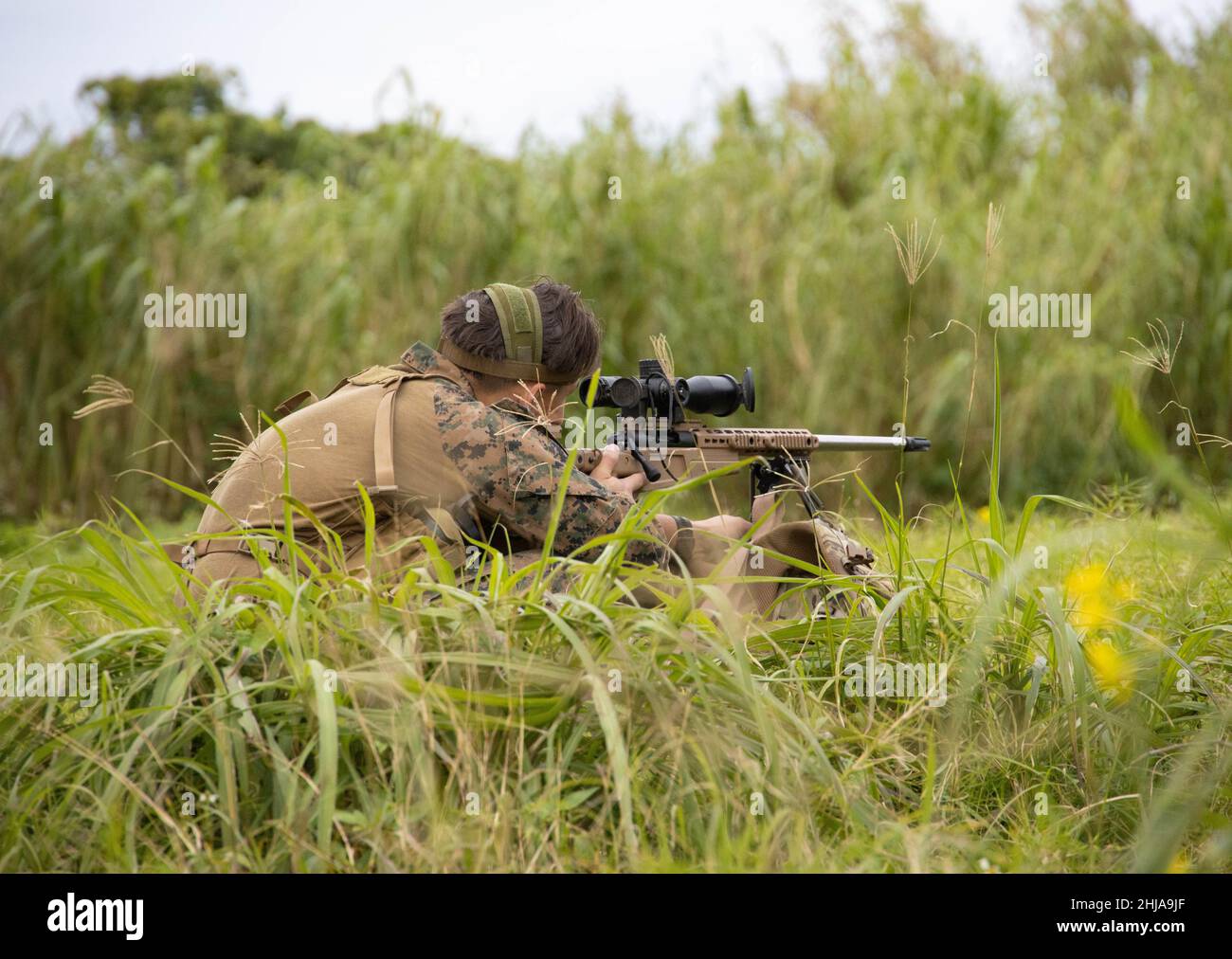 U.S. Marines with 3d Reconnaissance Battalion, 3d Marine Division ...