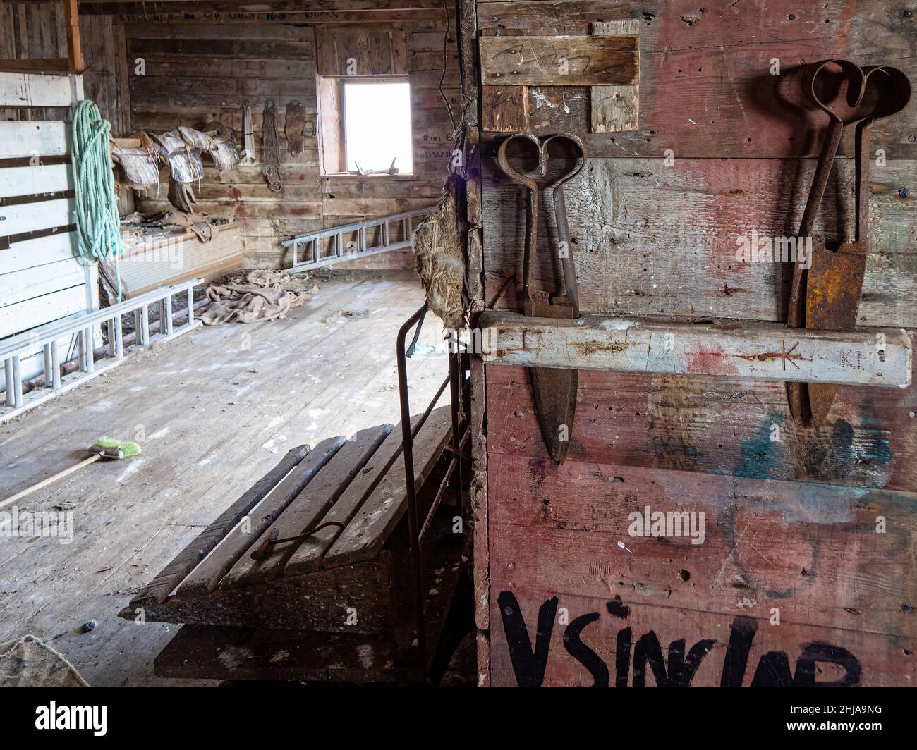 Interior view of the sheep shearing shed at the settlement abandoned in ...