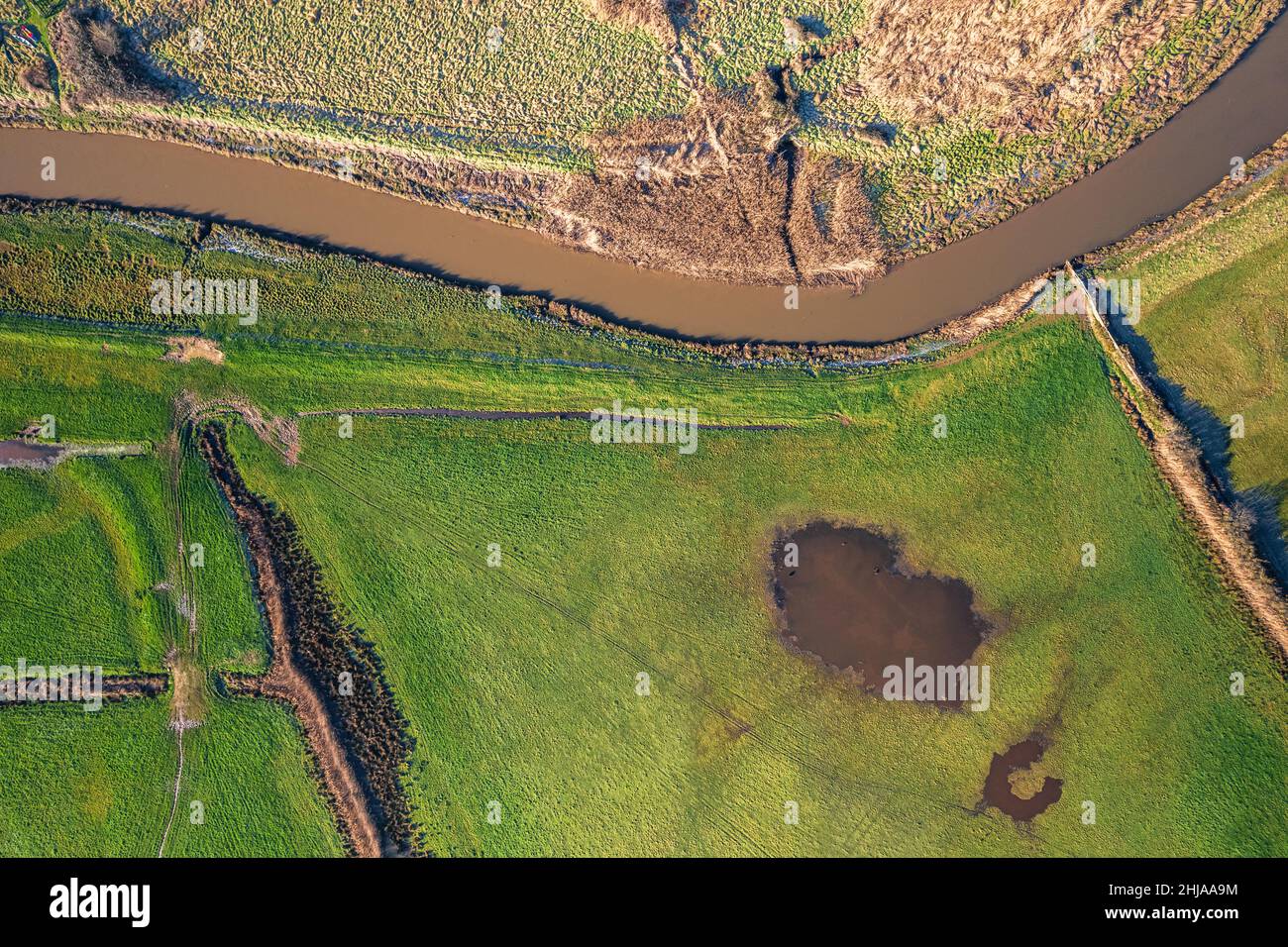 Top Down view from a drone over Meadows and Marshland around Clyst ...
