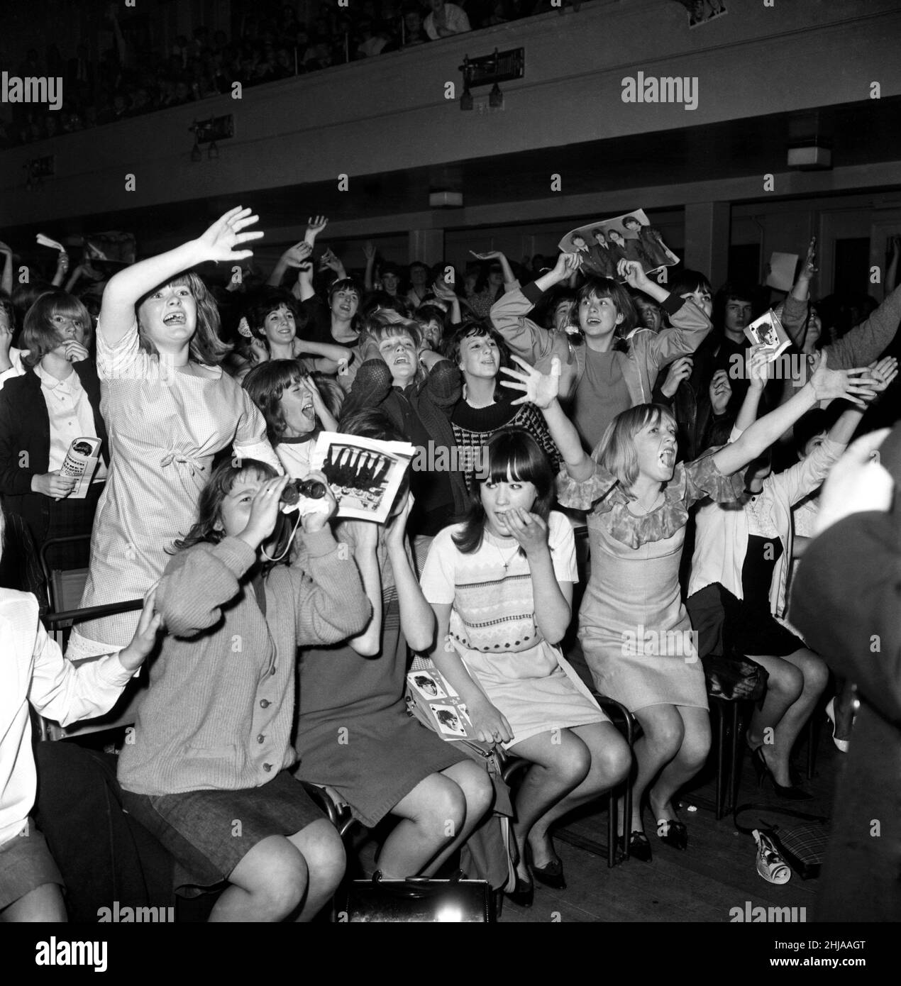 Screaming girl fans greet the Beatles last night on their appearance in ...