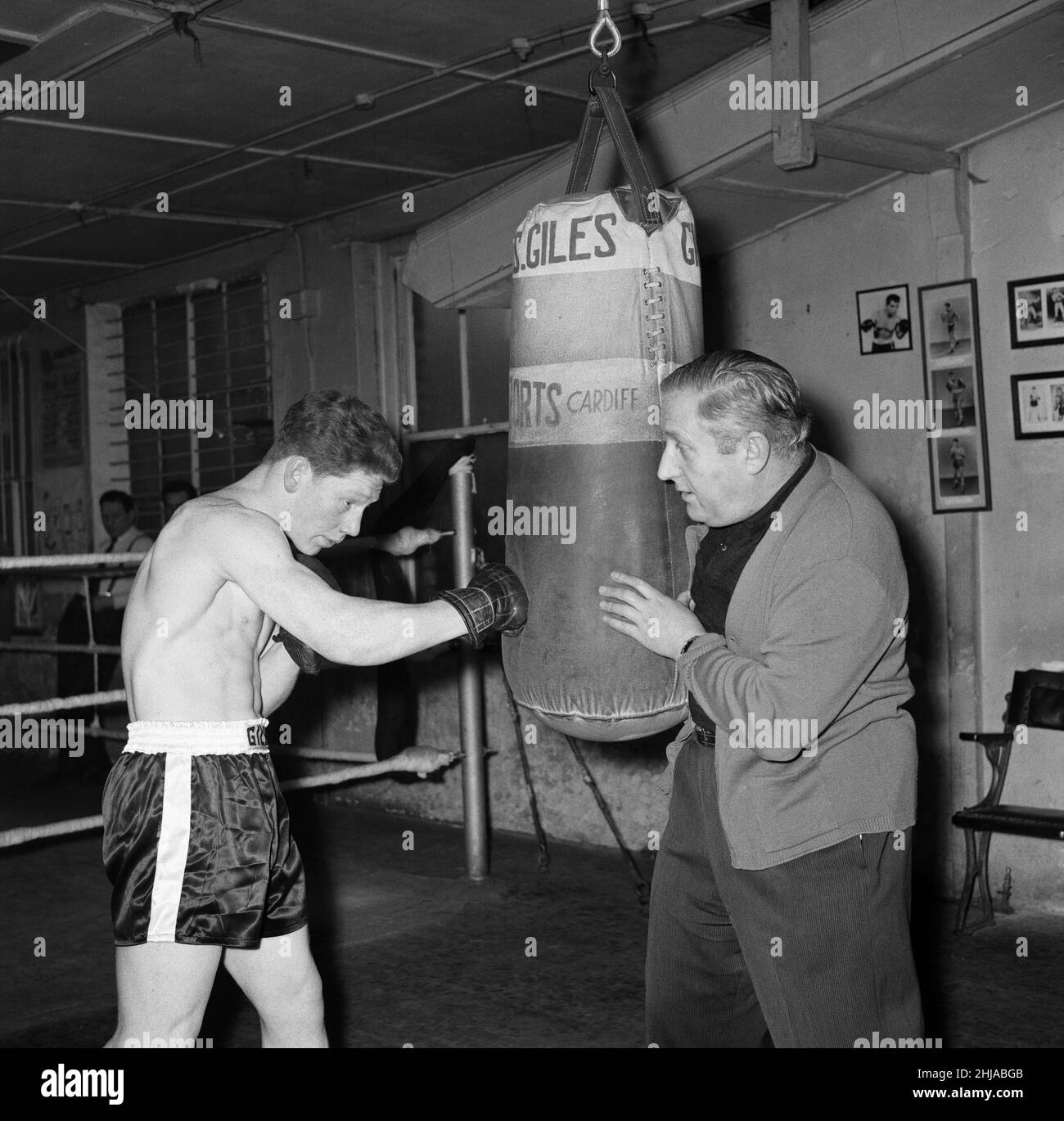 Welsh boxer hi-res stock photography and images - Alamy