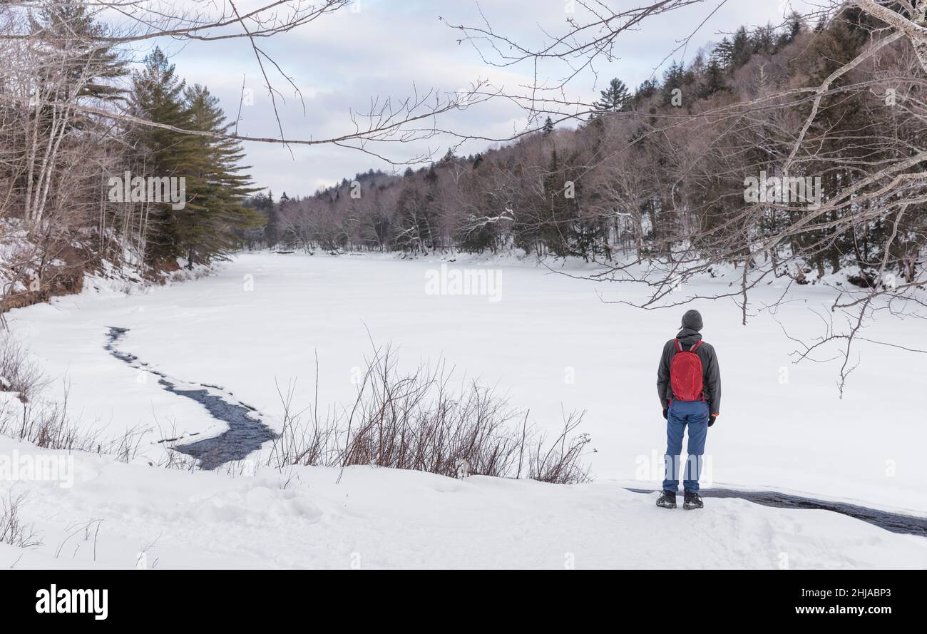 Winter hiking man in snow forest mountain landscape scenery. Male hiker ...