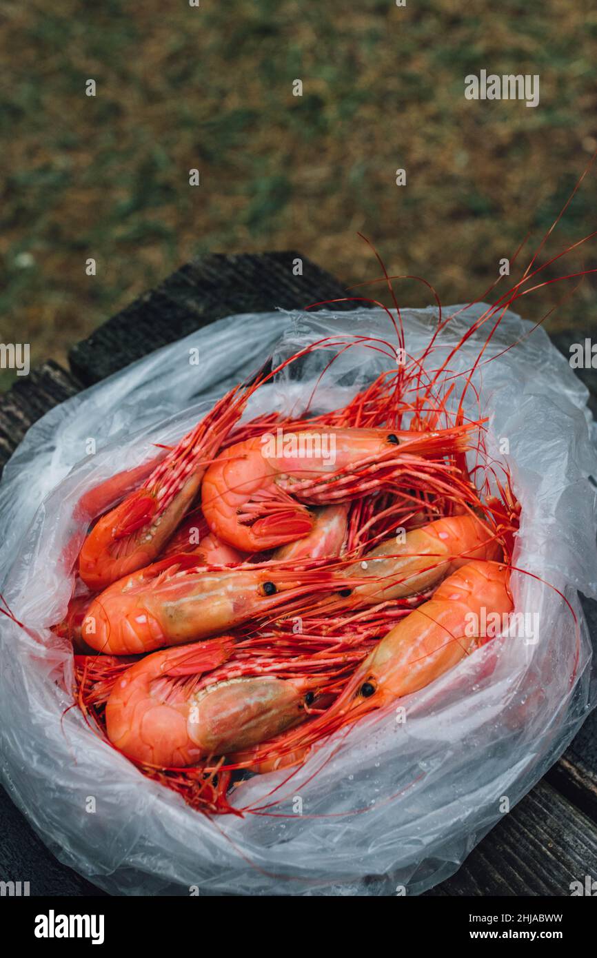 preparing fresh spot prawns outdoors while camping Stock Photo - Alamy