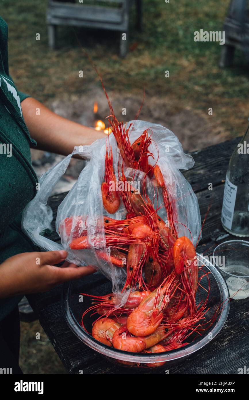 preparing fresh spot prawns outdoors while camping Stock Photo - Alamy