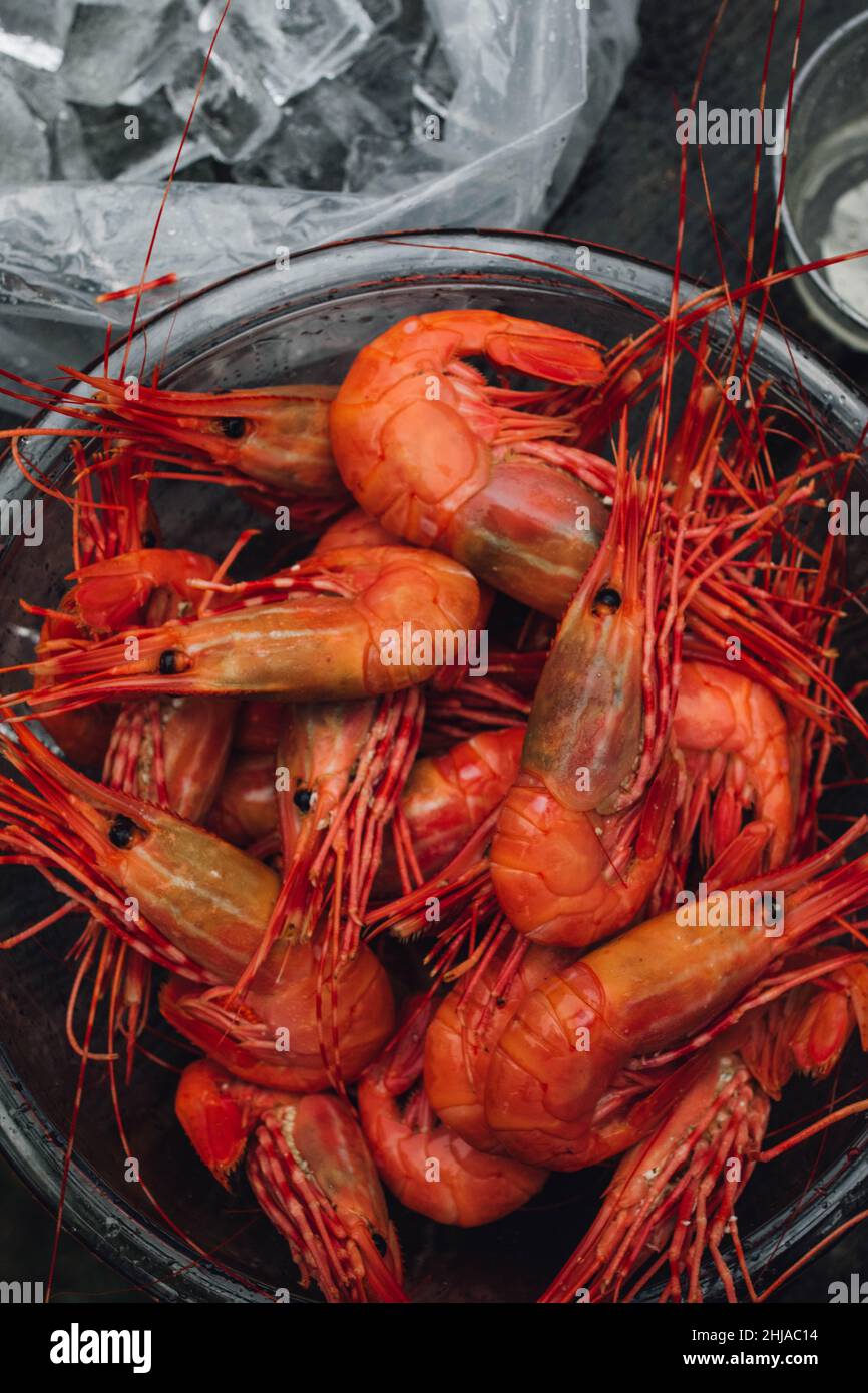 preparing fresh spot prawns outdoors while camping Stock Photo - Alamy