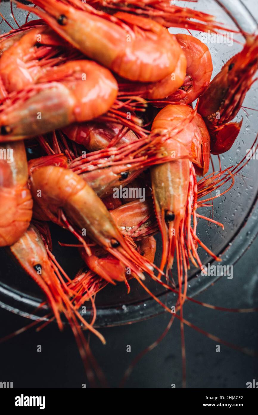 preparing fresh spot prawns outdoors while camping Stock Photo - Alamy
