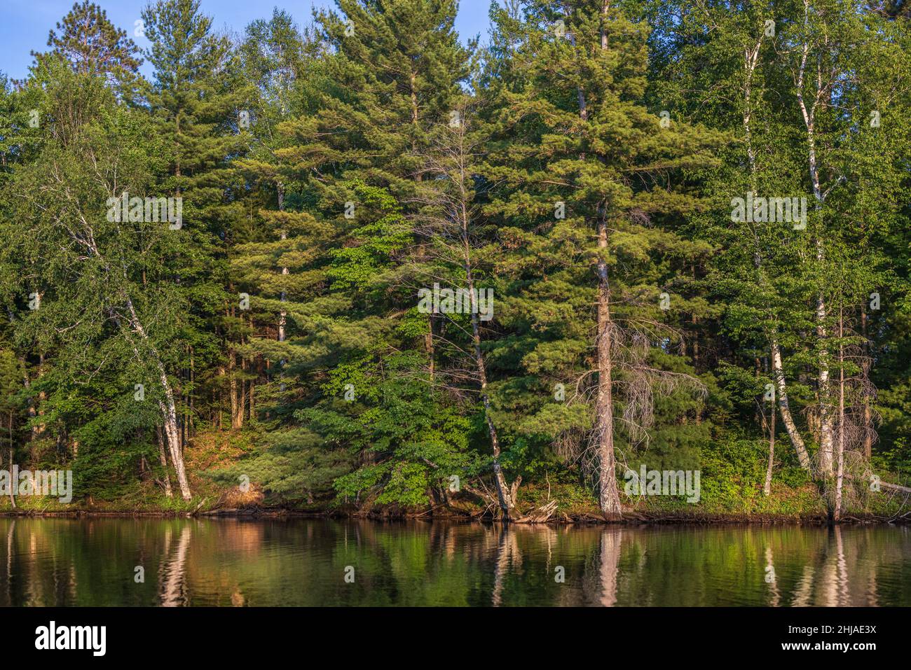 The Chippewa Flowage in northern Wisconsin Stock Photo - Alamy