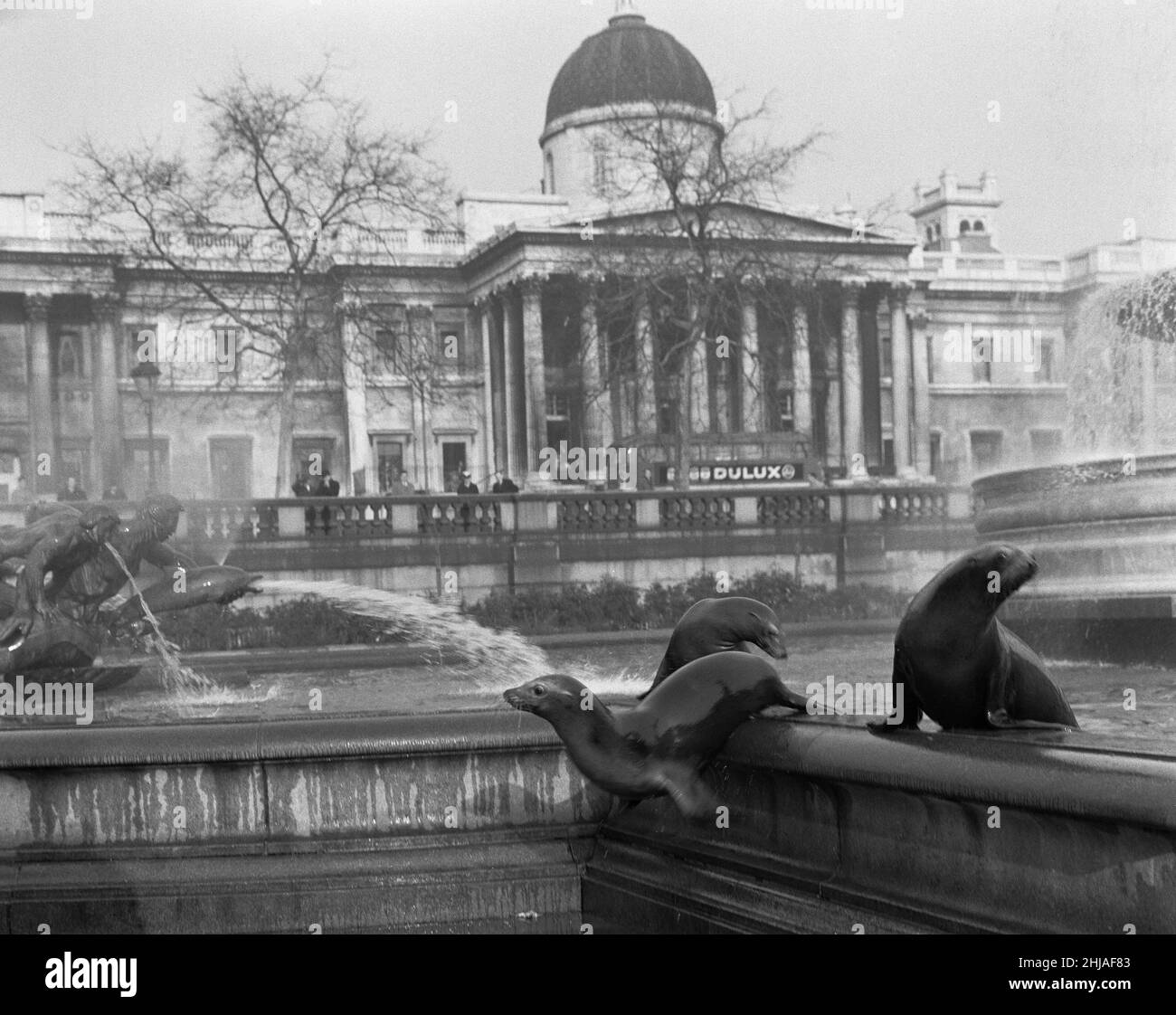 It was exactly 11.50am on a cold bright morning at Trafalgar Square ...