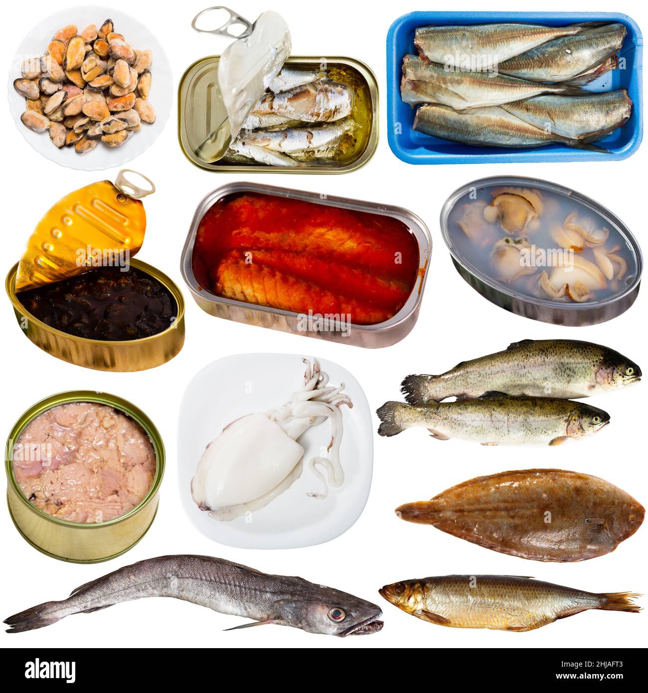 Set of assorted raw fish and seafoods Stock Photo - Alamy
