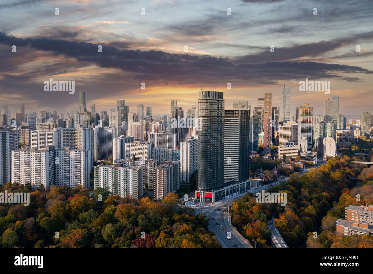 Toronto Skyline with trees surrounding the cityscape Stock Photo - Alamy