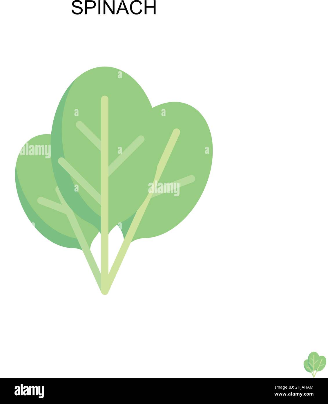 Spinach Simple vector icon. Illustration symbol design template for web ...