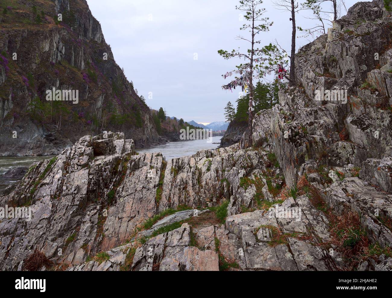 Rocks with vertical layers diverge fan on the banks of a mountain river ...