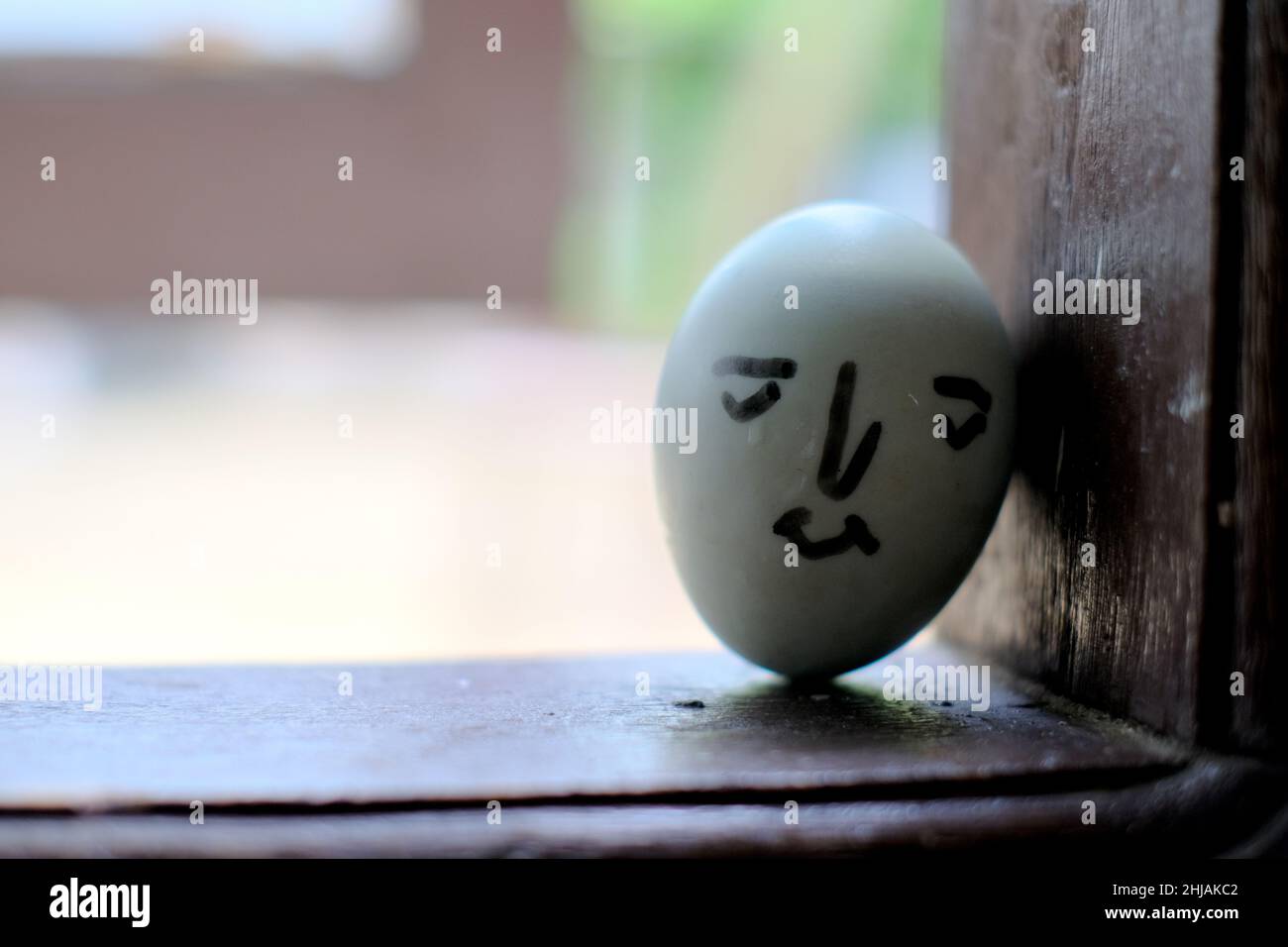 egg in the window with blurred background Stock Photo - Alamy