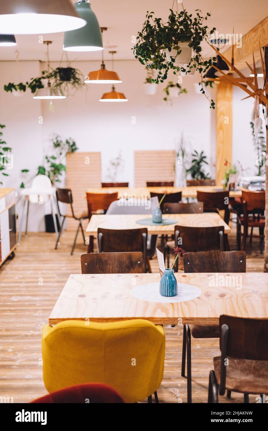 Interior of the empty restaurant with wooden chairs, tables and ...