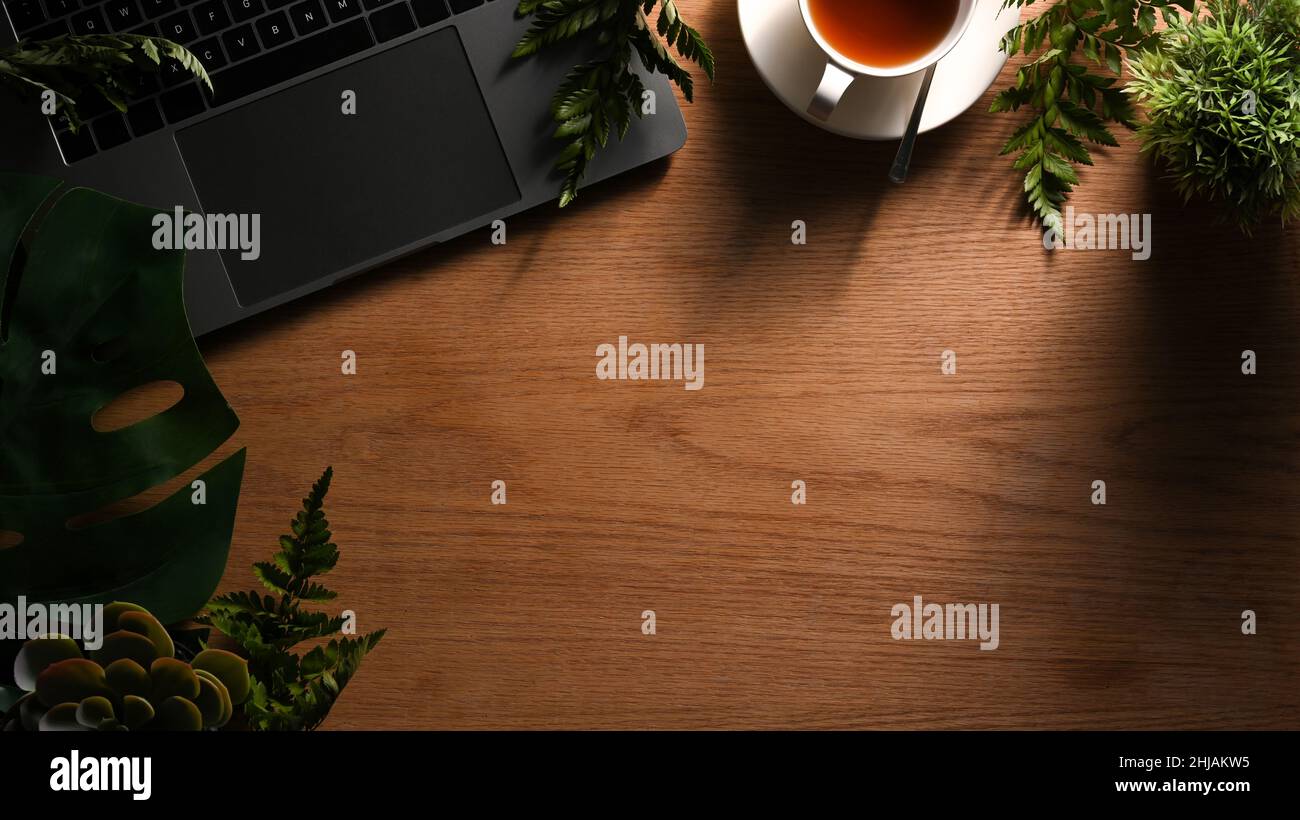 Comfort workspace with laptop computer, tea cup, indoor plants and copy ...