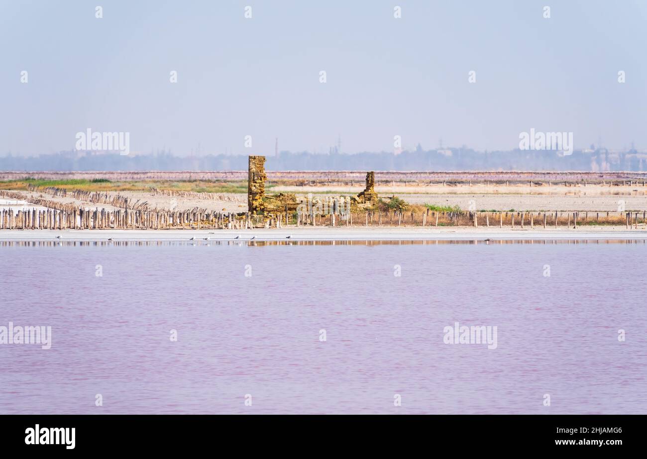 A beautiful salt lake with pink water. Beautiful view of pink lake on ...