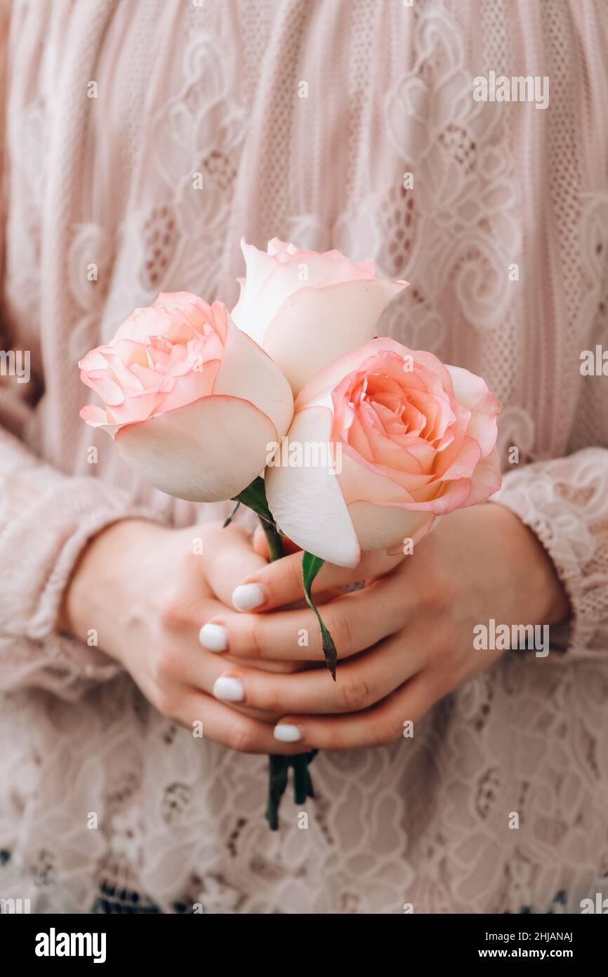 Female hand in pink blouse holding tender pink rose. Minimal trendy ...