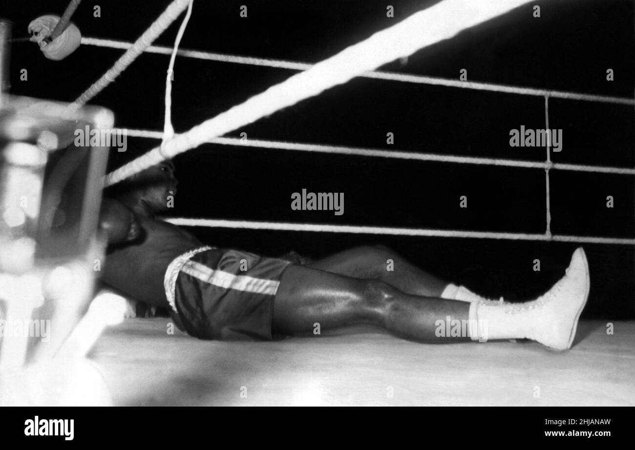 Sting Fighter High Resolution Stock Photography and Images - Alamy