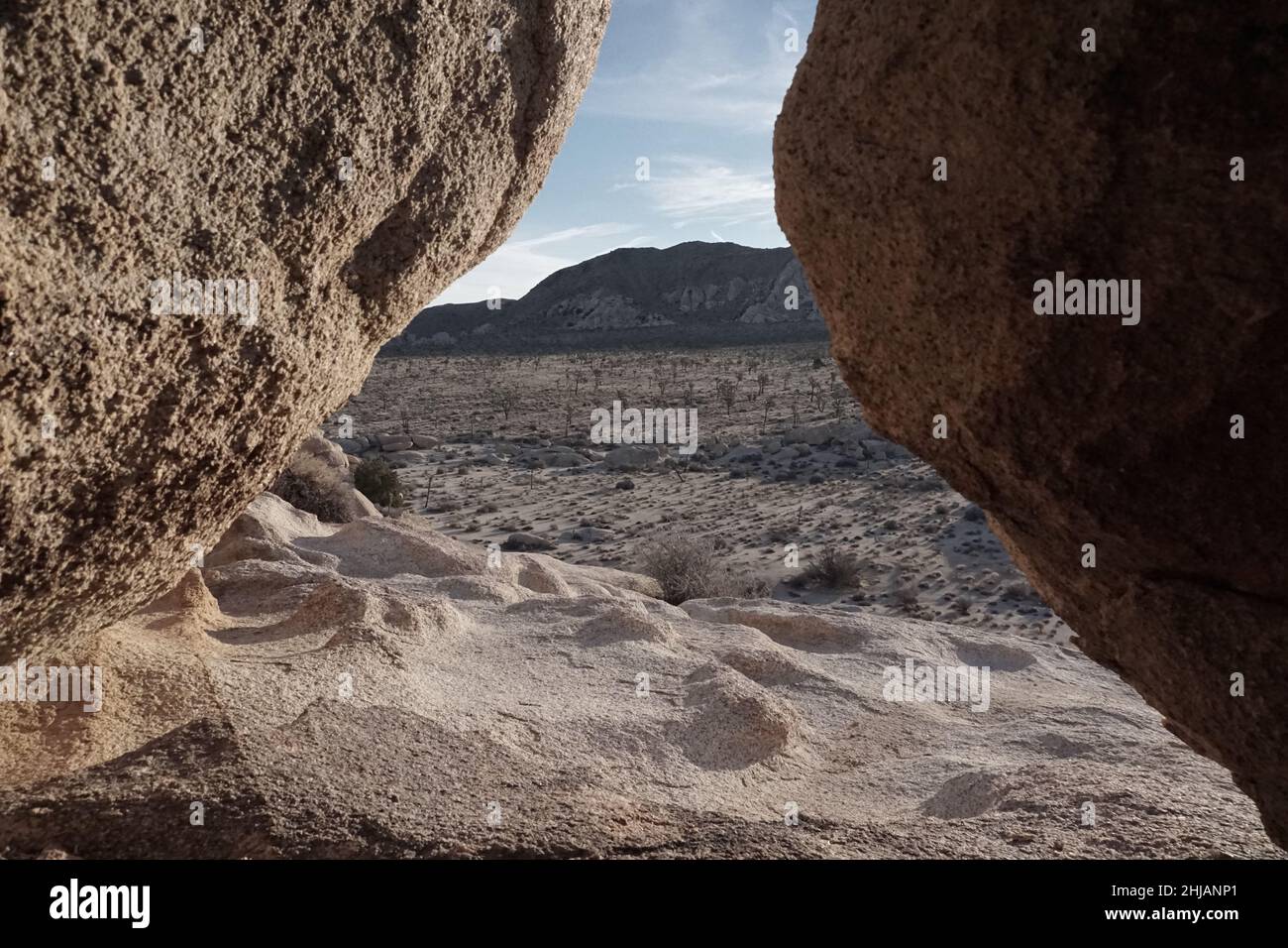 Cyclopes hi-res stock photography and images - Alamy