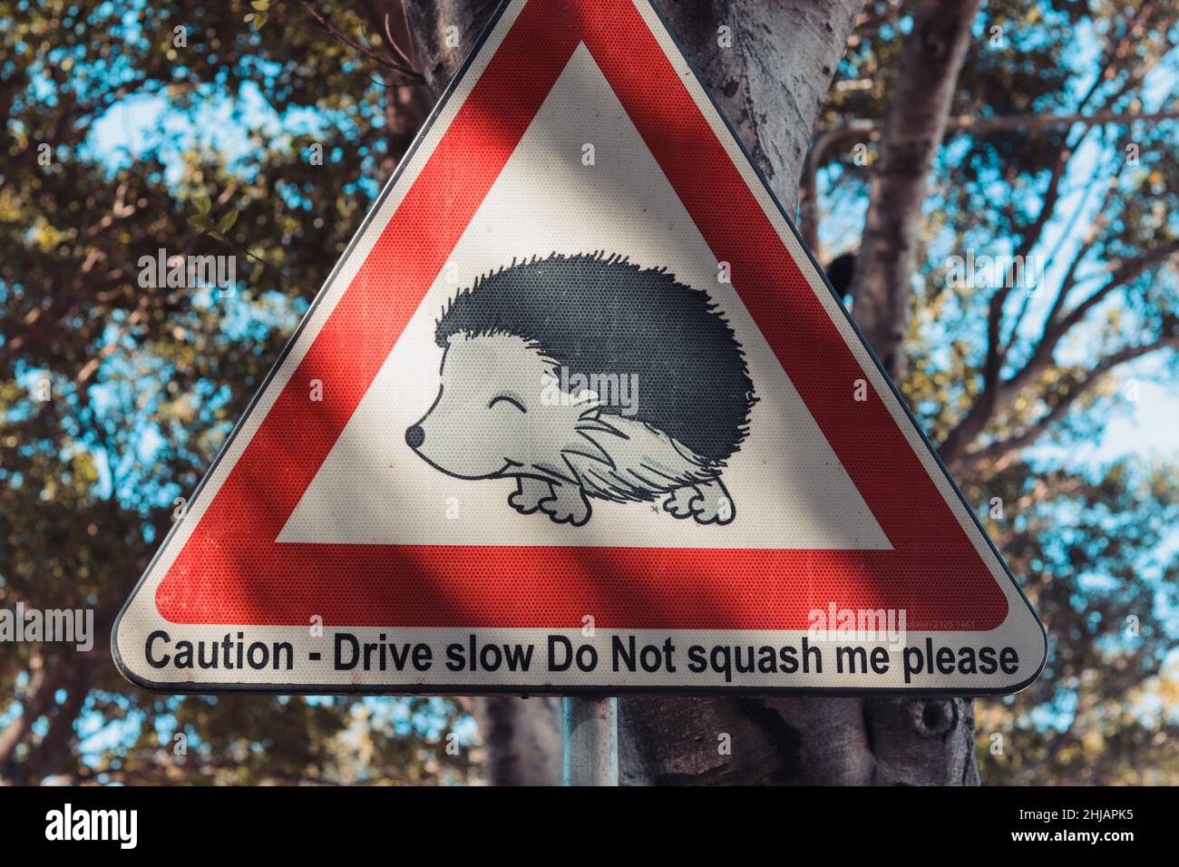 Caution road sign with a hedgehog Stock Photo - Alamy