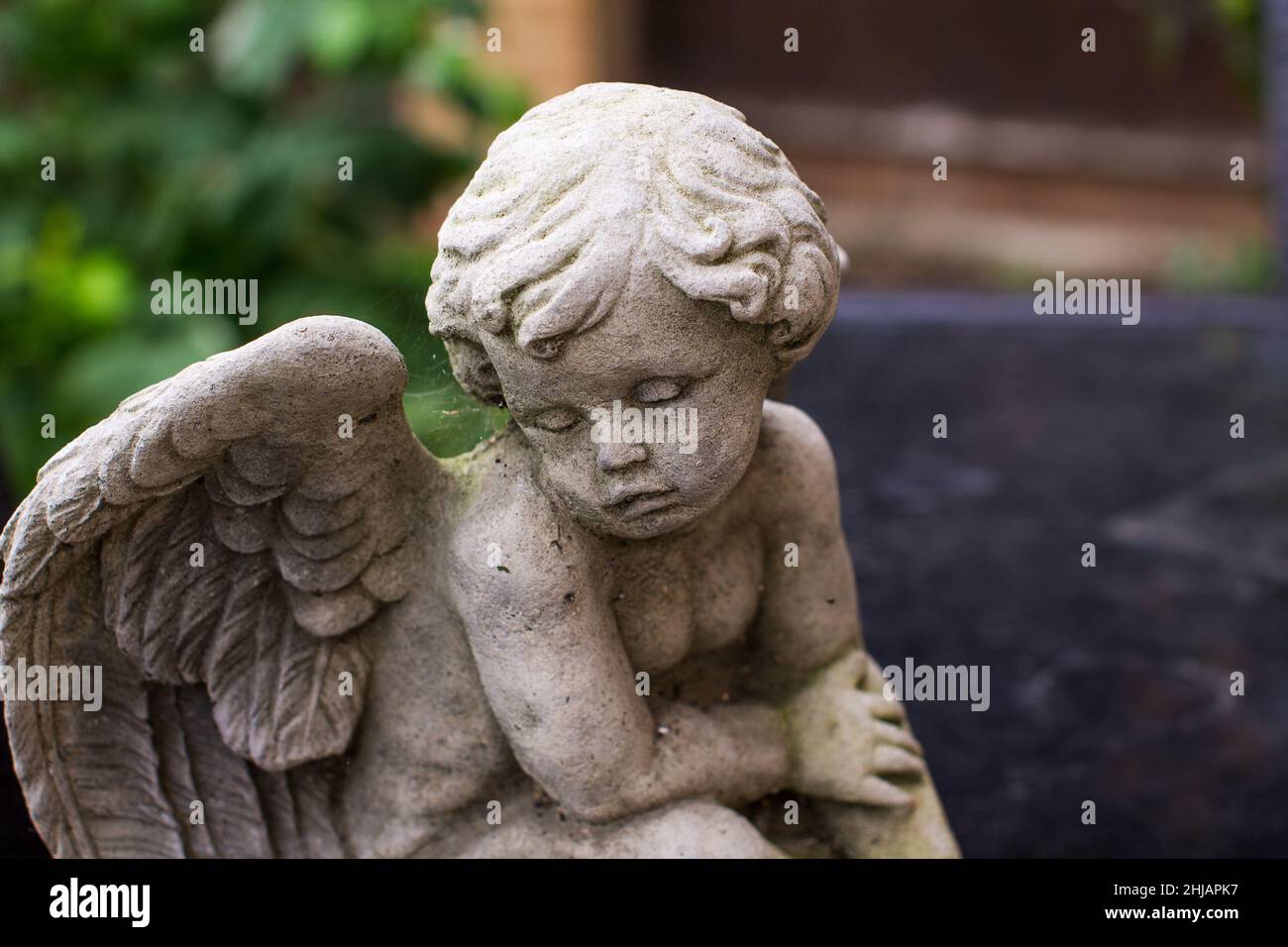Selective focus shot holy hi-res stock photography and images - Alamy