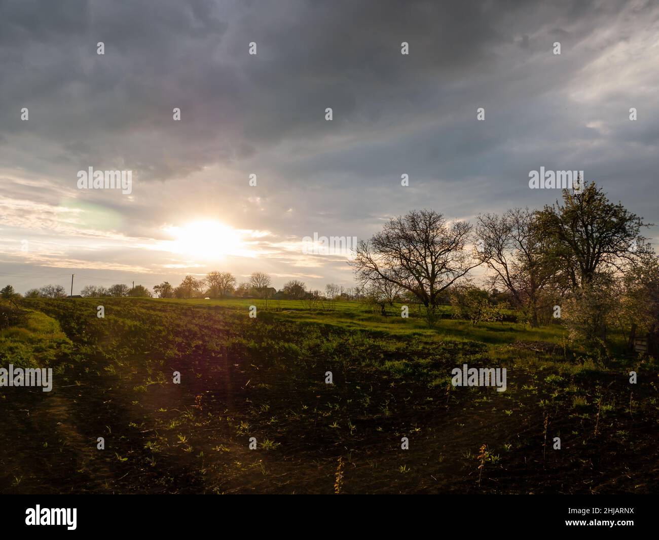 Beautiful sunset and tree in the village Stock Photo - Alamy