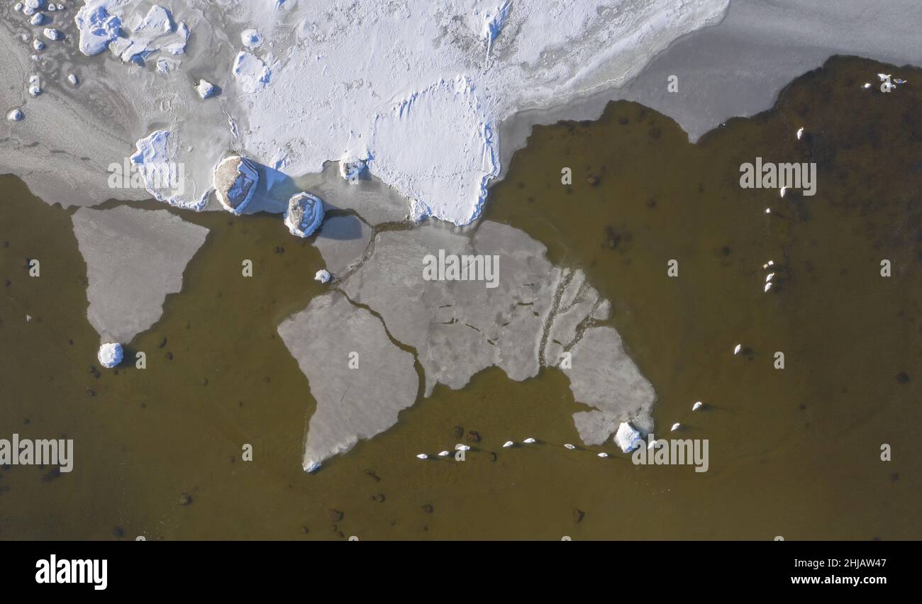 Birds eye view of a herd of sheep on the snowy field in Estonia Stock ...