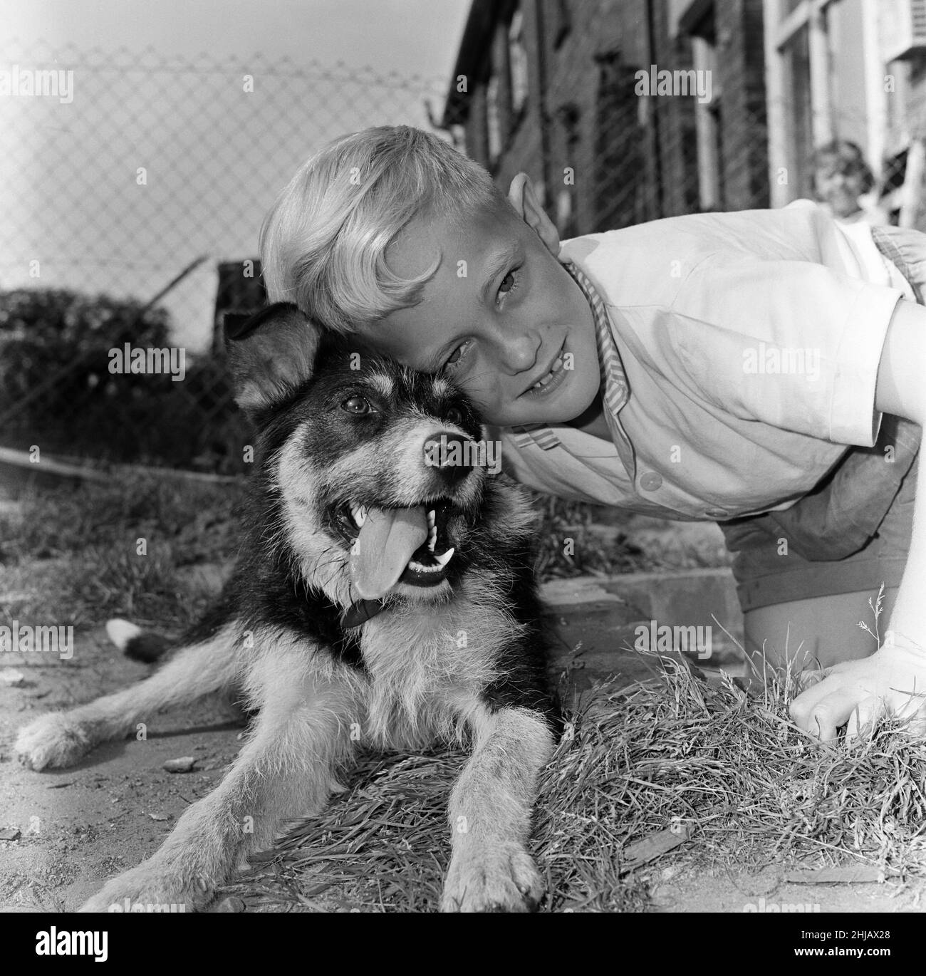 Seven-year-old Peter Whybrow, of Shaw, with Lucky the dog, who was ...