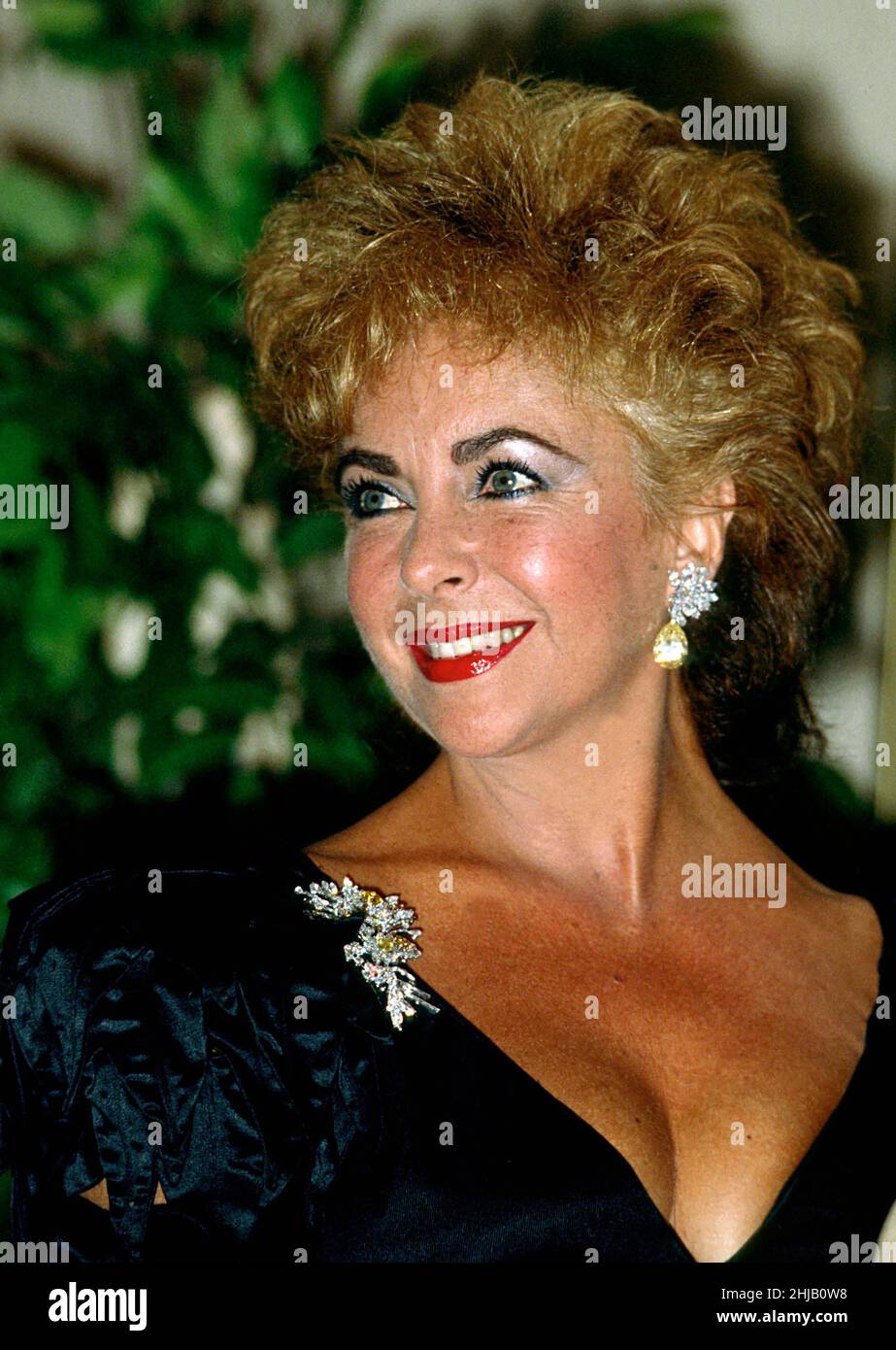 Elizabeth Taylor circa 1983 Credit: Ron Wolfson / Rock Negatives ...