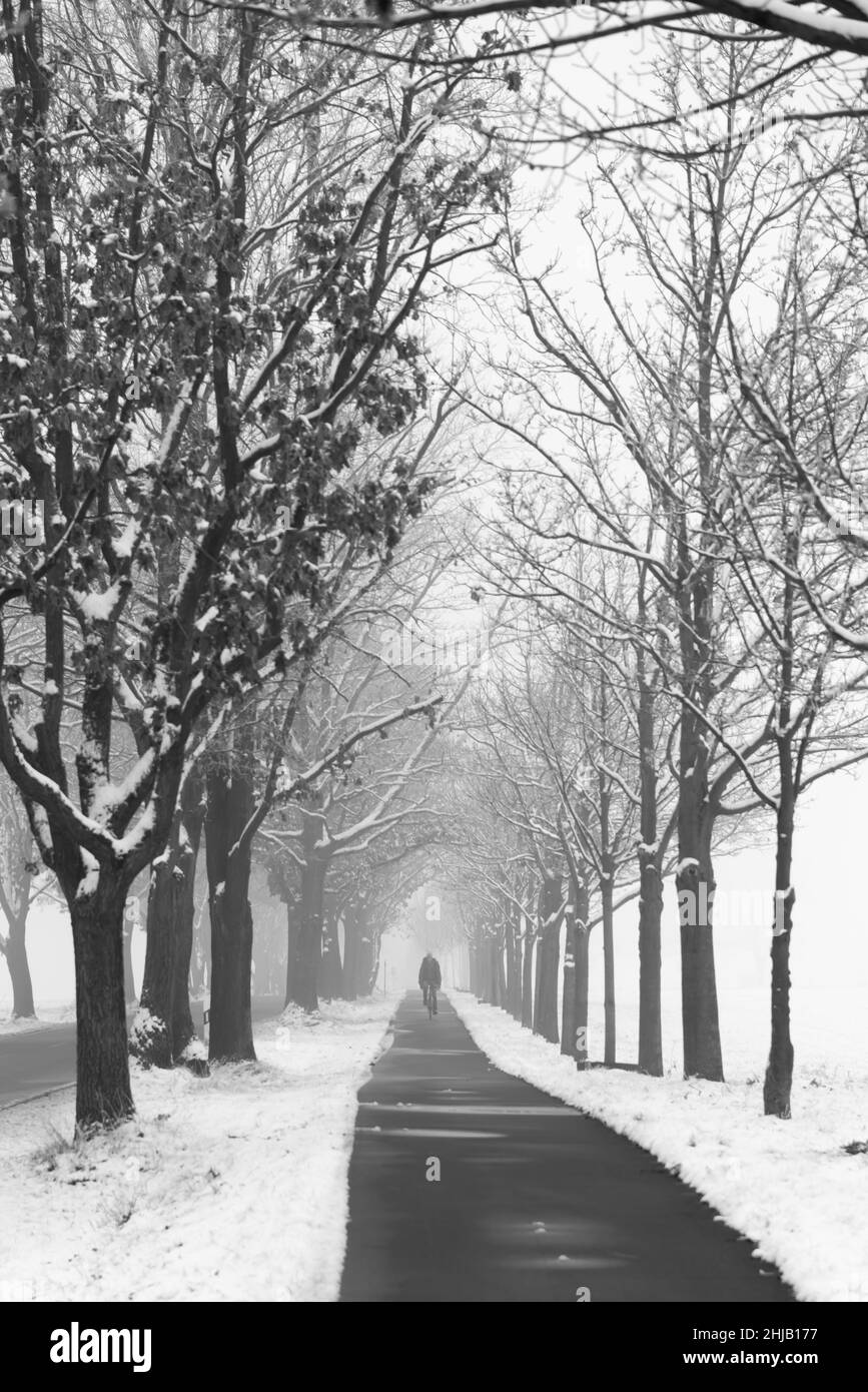 Country road in mountain Black and White Stock Photos & Images - Alamy