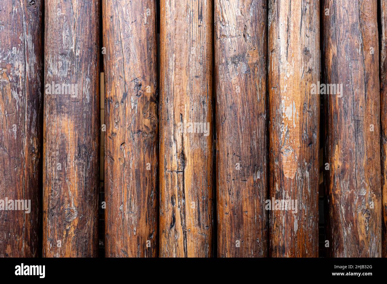 Backdrop of big and old straight tree logs in round shape with aged ...