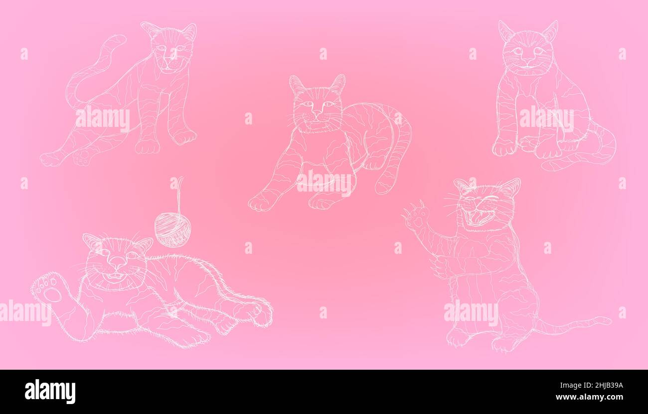 line sketch of different action element cute cat. vector illustration ...