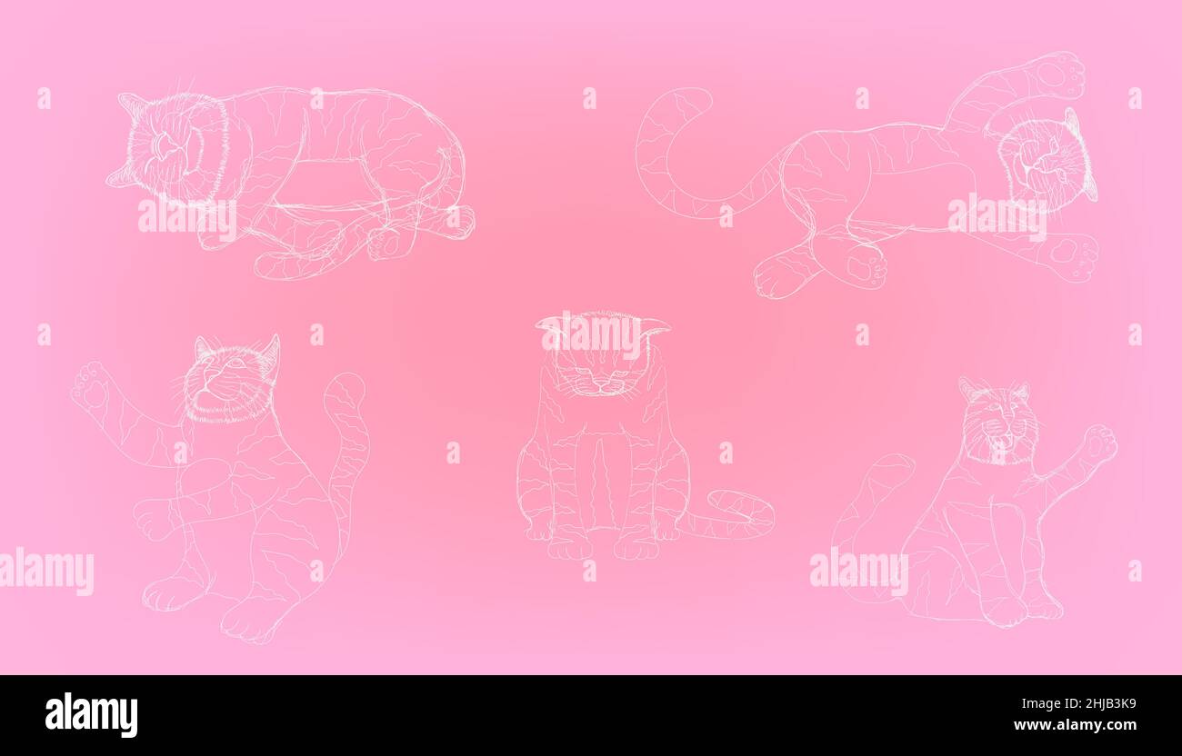 sketch drawing of different action element cute cat. vector ...