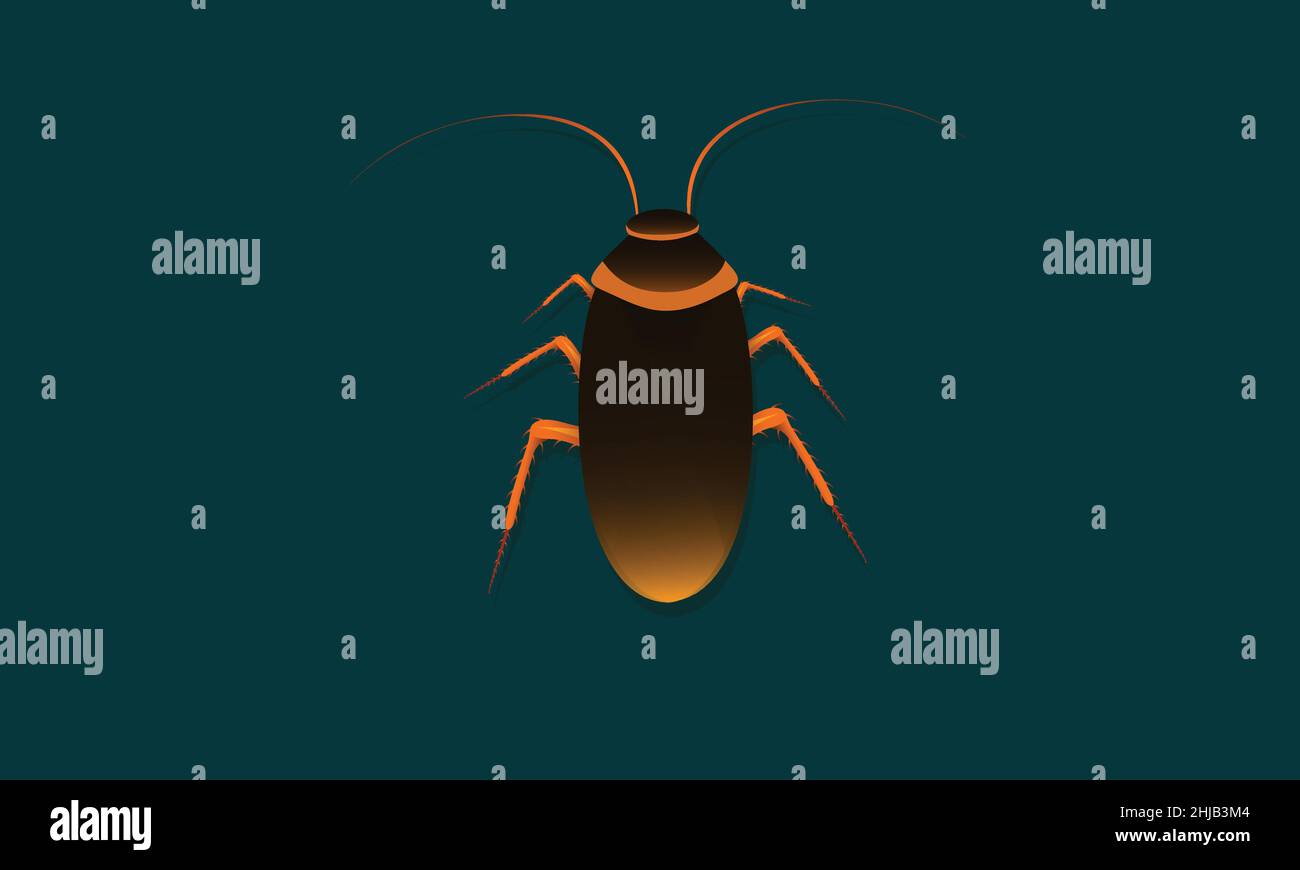 Cockroach vector vectors Stock Vector Images - Alamy