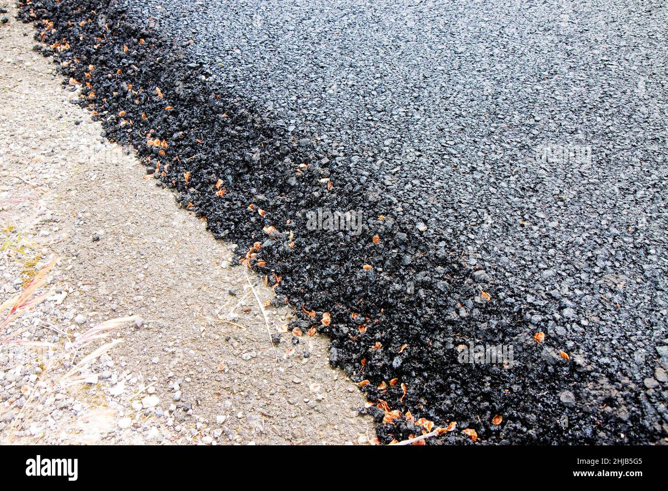 New asphalt road background - concept image with copy space Stock Photo ...