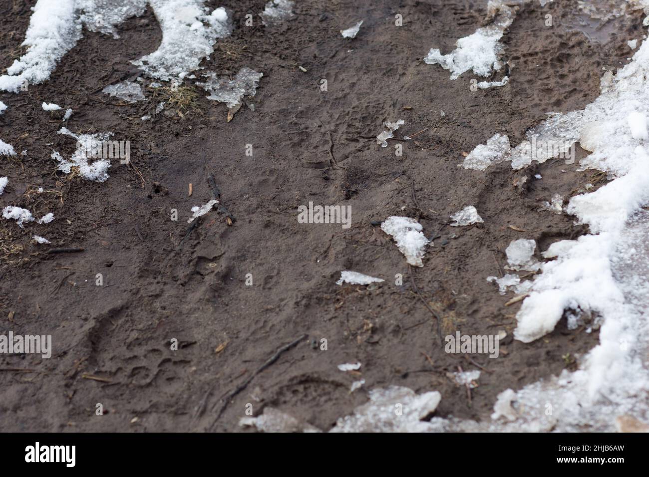 Dirt and melted snow outdoor in spring time in thaw Stock Photo - Alamy