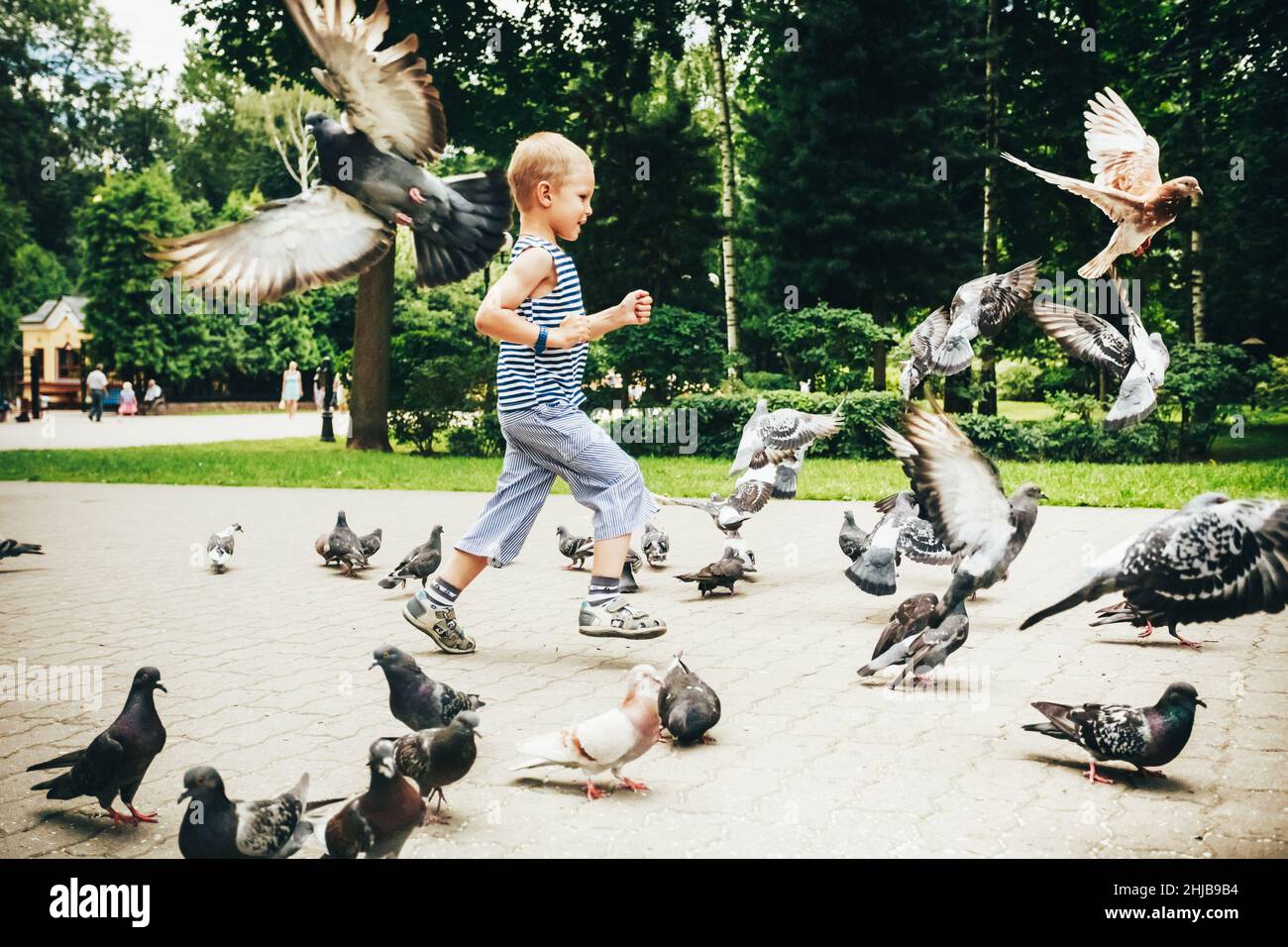 Boy playing with pigeons birds in Gomel park, Belarus Stock Photo - Alamy