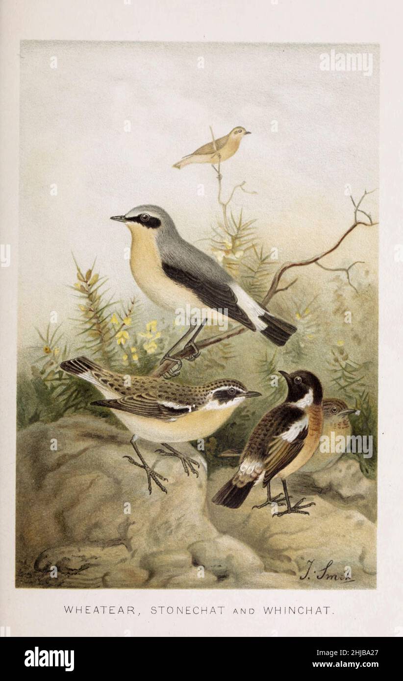 Volume iii hi-res stock photography and images - Alamy