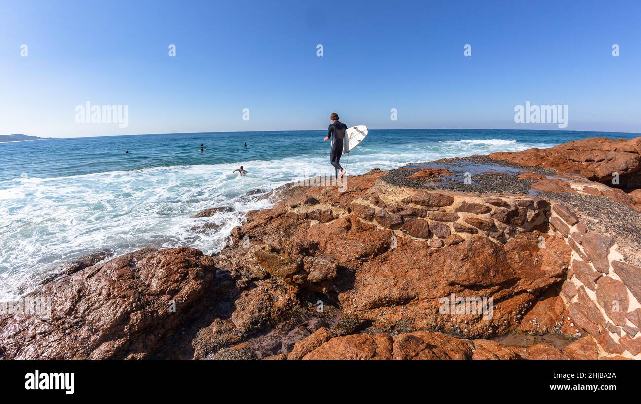 Surfer going surfing walking on point rocks to jump entry into blue ...