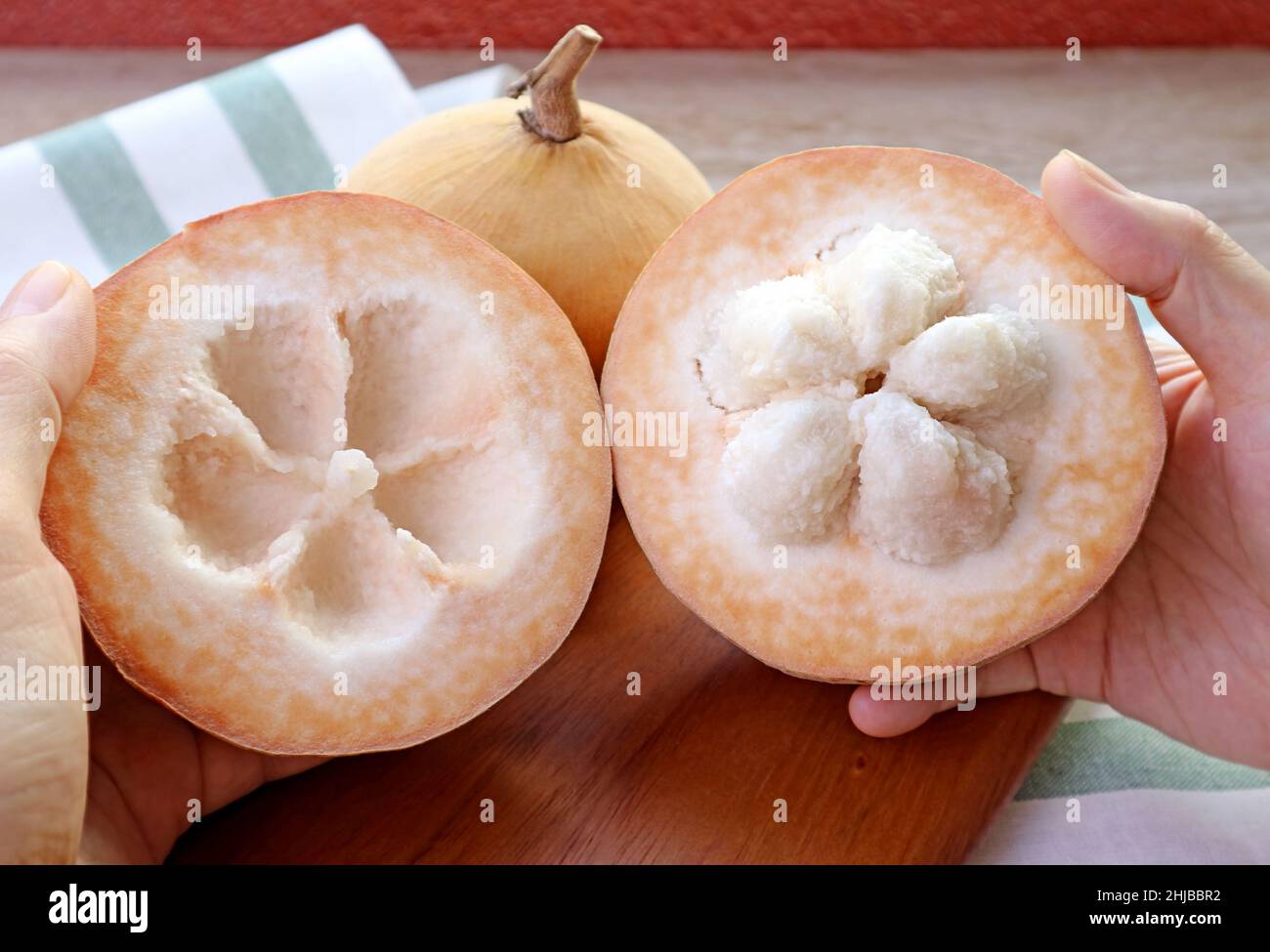 Santol Seeds