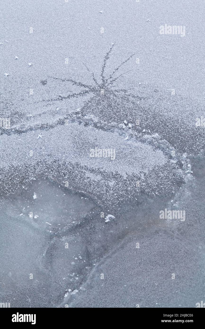 Sea ice texture Stock Photo - Alamy