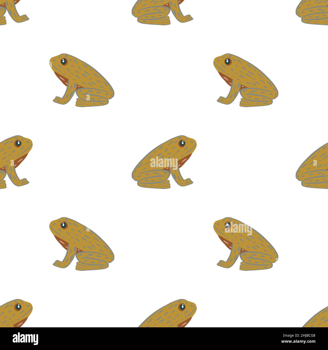 Amphibia vector vectors hi-res stock photography and images - Alamy