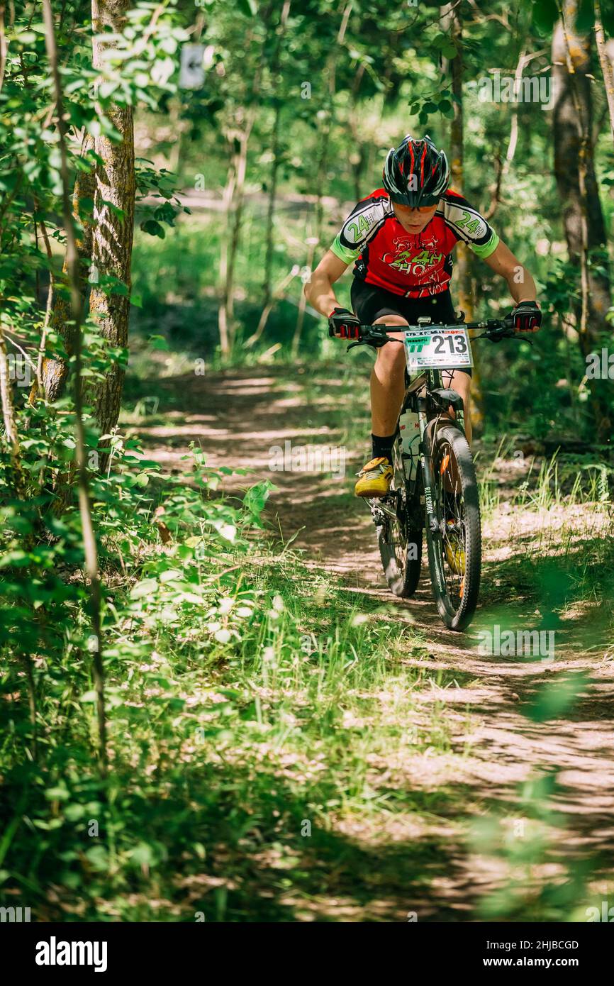 Mountain Bike cyclist riding track at sunny day, healthy lifestyle ...