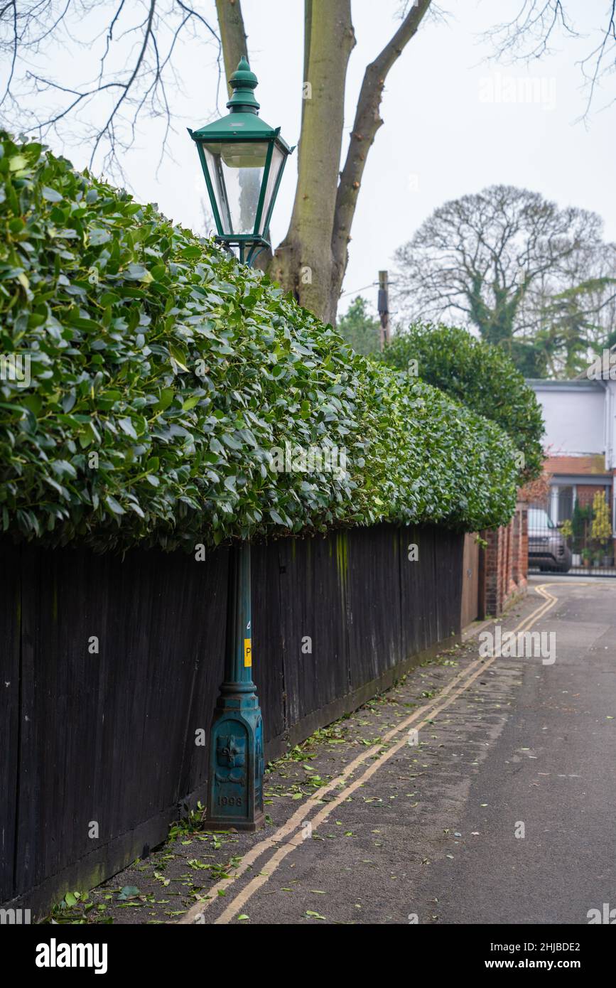 East Bight, Lincoln City, overgrown hedge, hidden street light, earlier ...