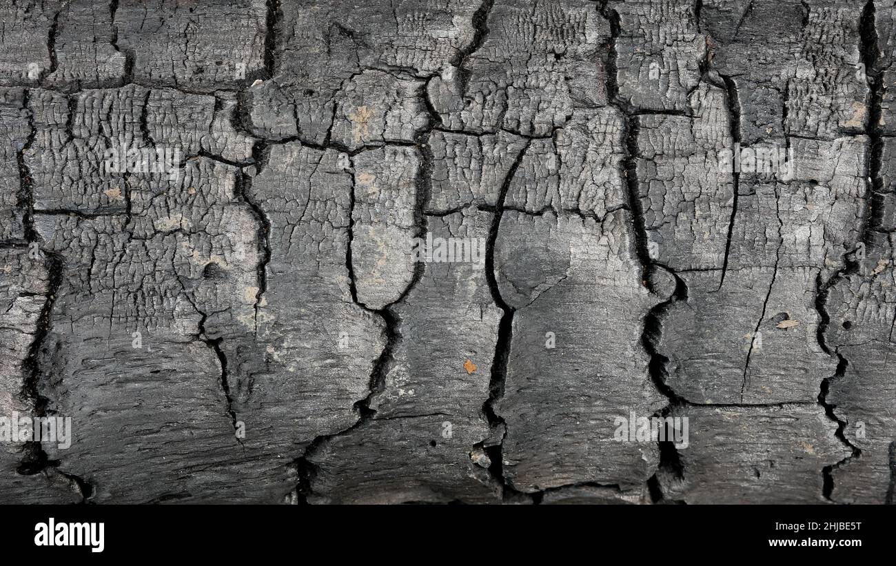 black burnt wood texture, black charcoal backdrop Stock Photo - Alamy