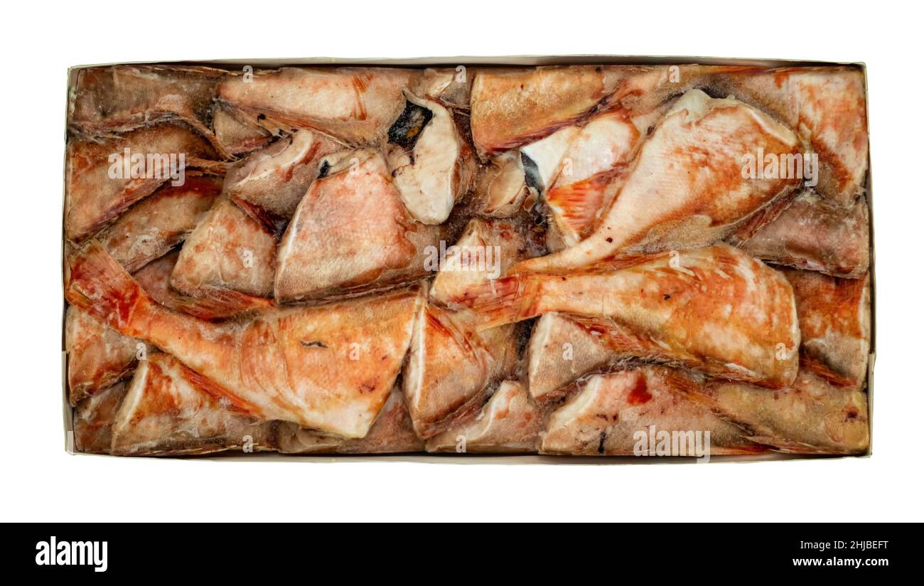 Frozen sea bass briquette prepared for trade at the fish market Stock ...
