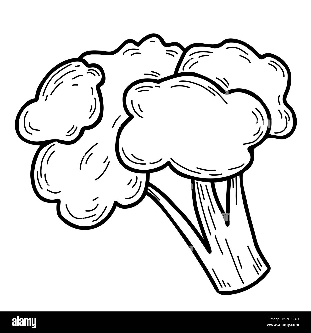 Cauliflower Line Drawing